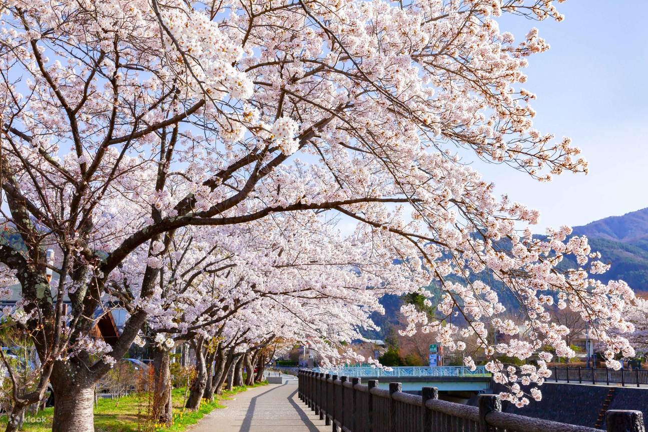 Mount Fuji, Kawakuchiko, and Arakurayama Sengen Park Join In Bus Tour ...